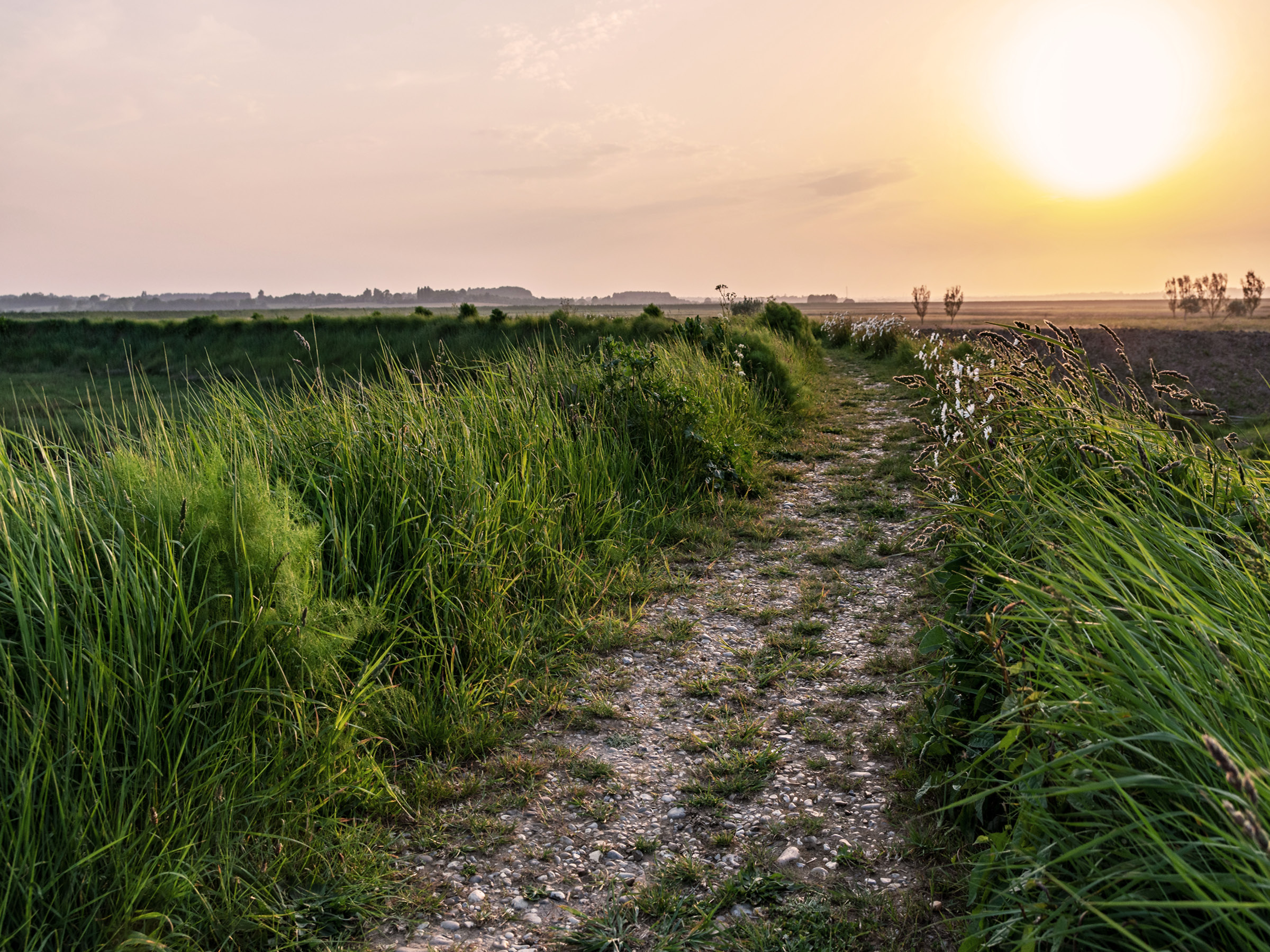 Aldeburgh Walks | Best Walks from Aldeburgh, Suffolk